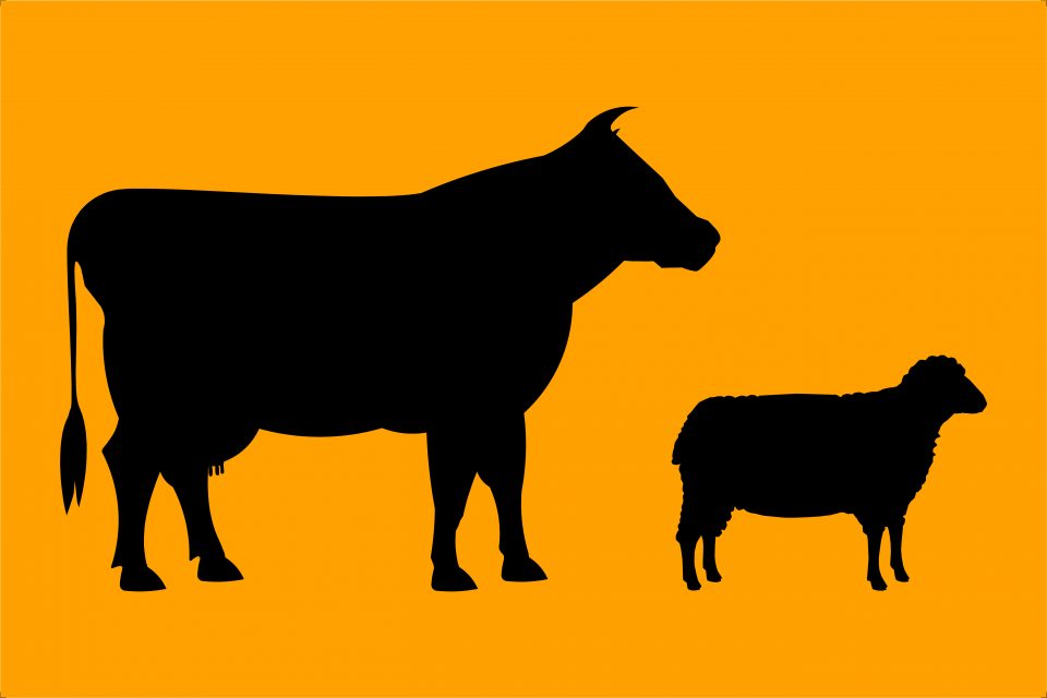 Stock Picto | Swing Stand Signage | USS